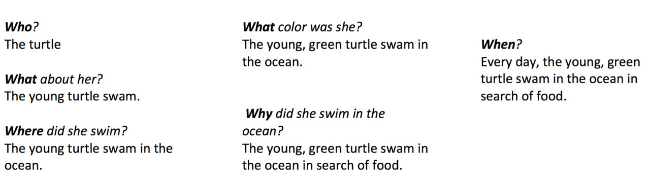 Teaching with "W" Questions - Keys to Literacy