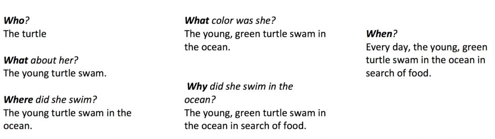 Teaching with "W" Questions - Keys to Literacy