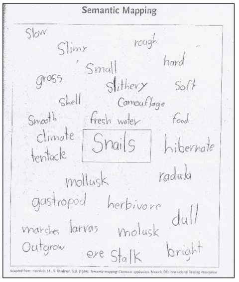 Semantic Mapping to Grow Vocabulary - Keys to Literacy