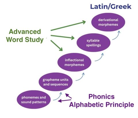 Phonics and Advanced Word Study: What's the Difference? - Keys to Literacy